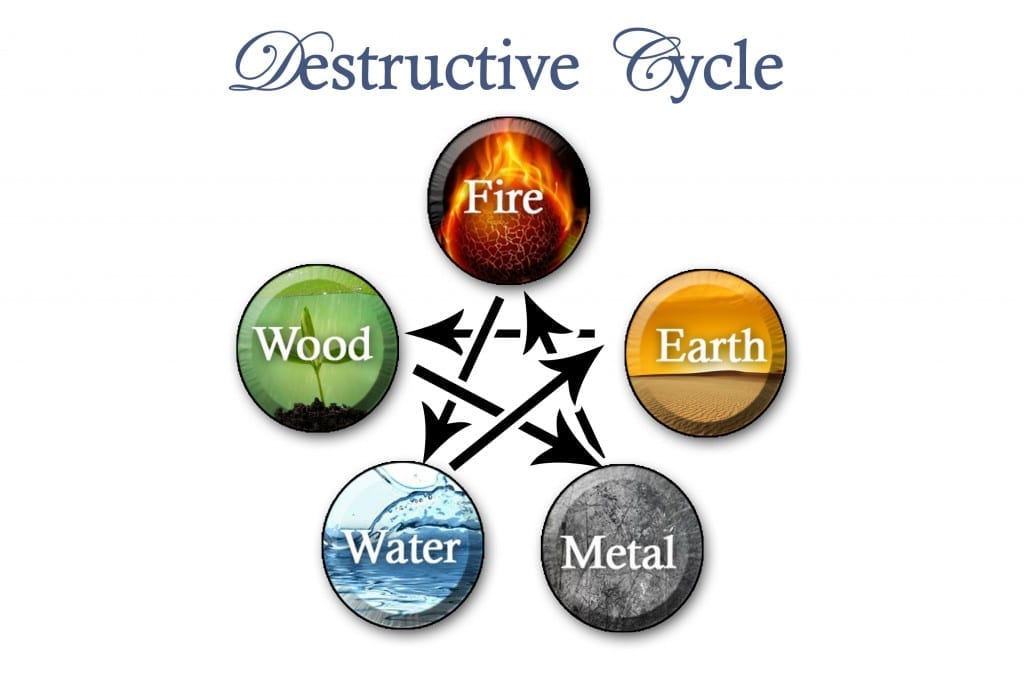 Cycles and the Five Elements Shelton Qigong